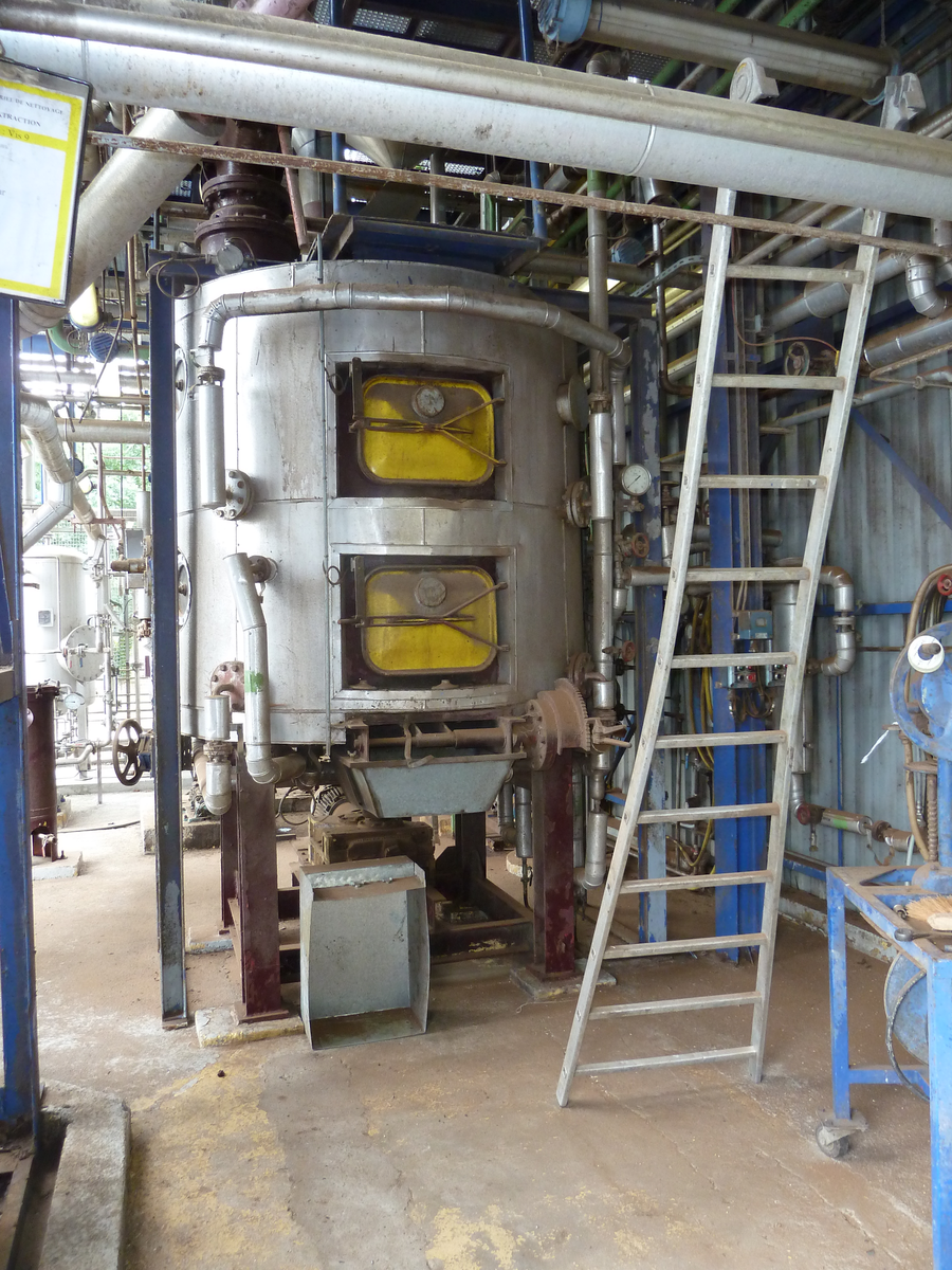 Process - International Sunflower